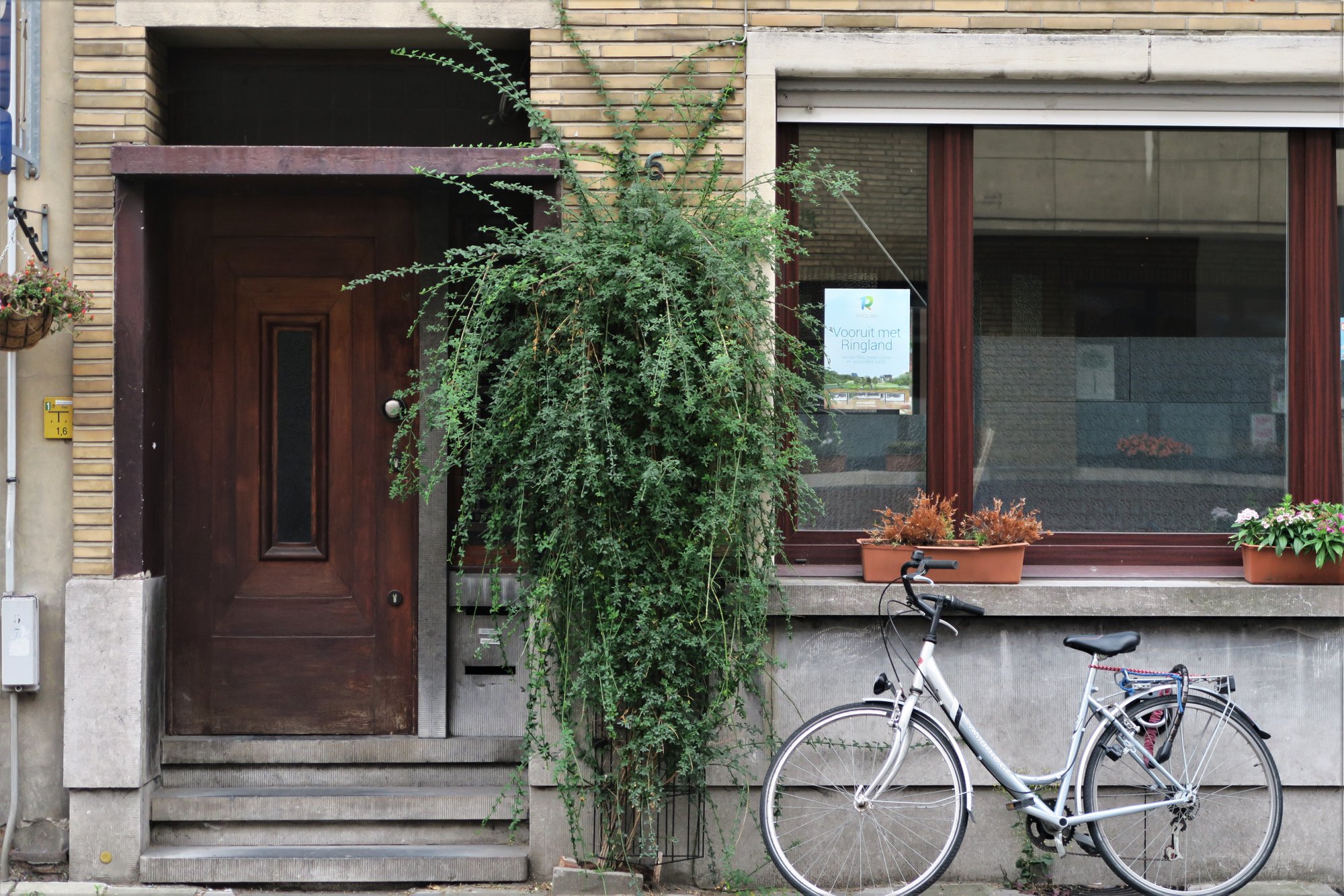 Laat je inspireren – Vergroen De Bosschaertstraat